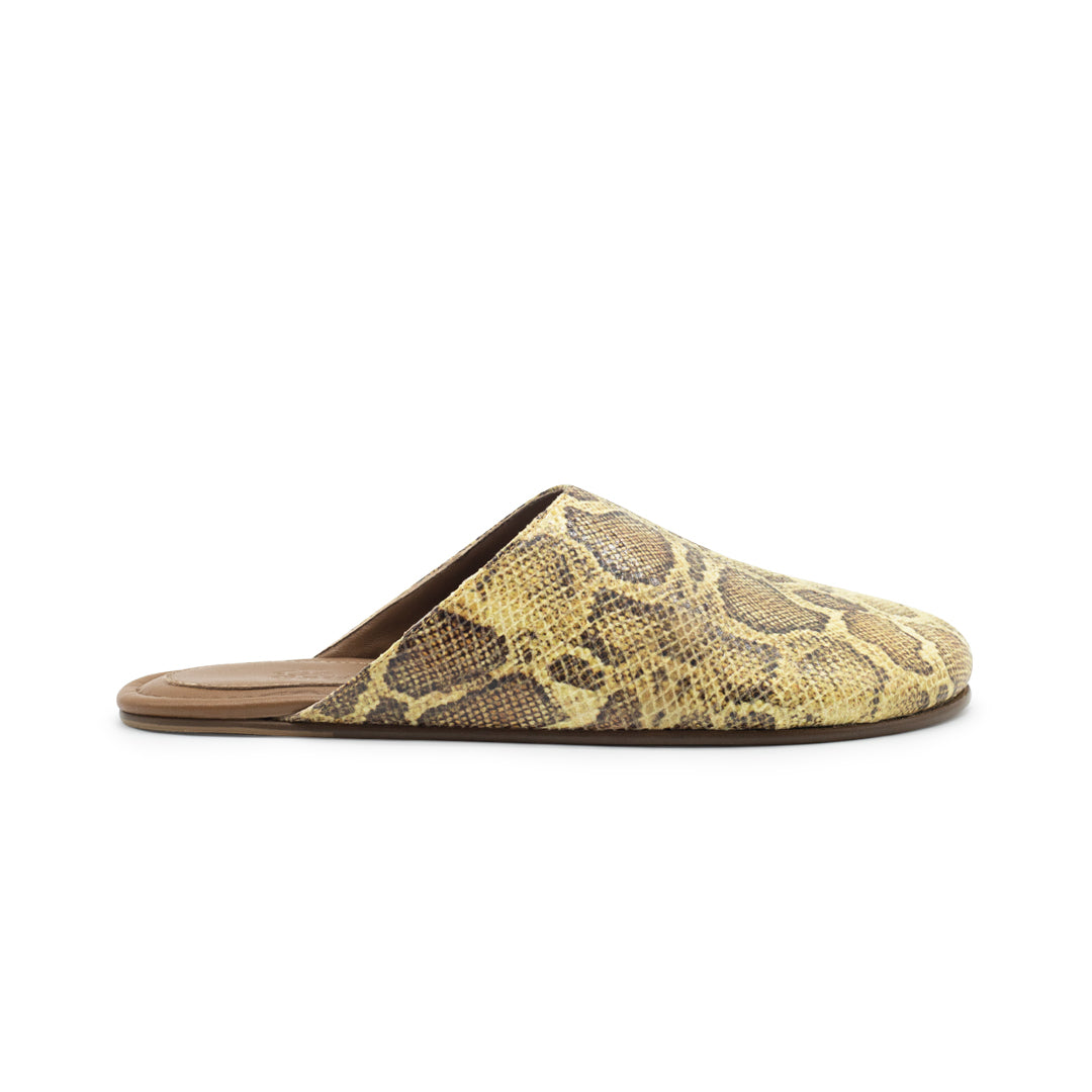 JUNE SYNTHETIC PYTHON